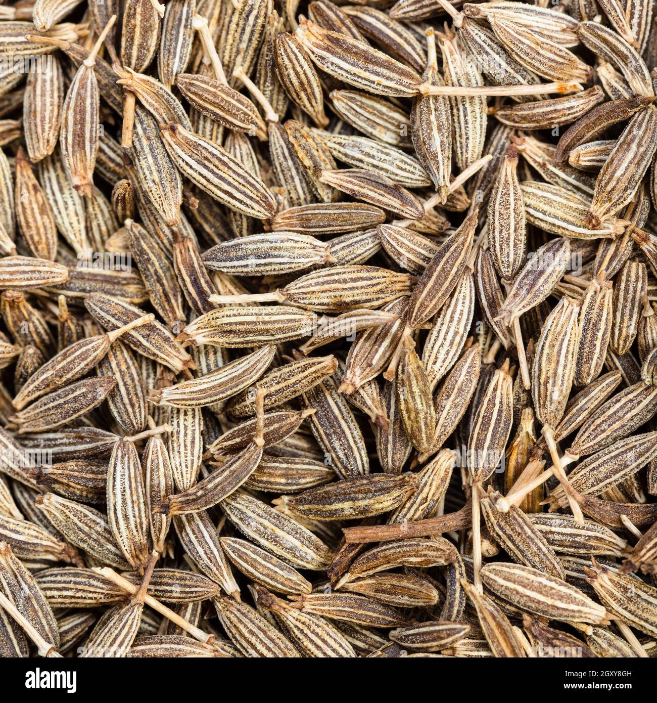 square food background - cumin (cuminum cyminum) seeds close up Stock ...