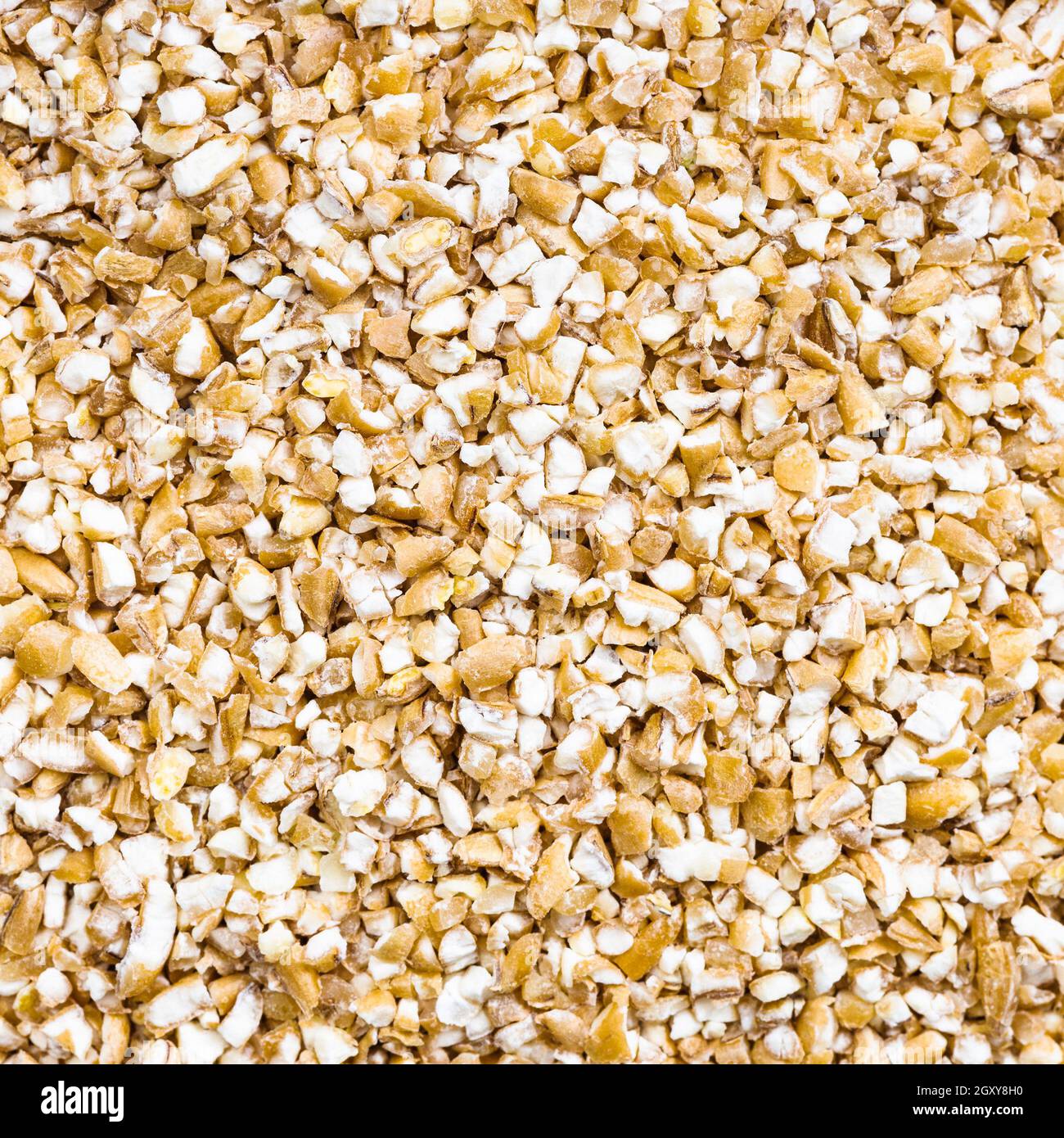square food background - wheat groats (crushed partly hulled wheat ...