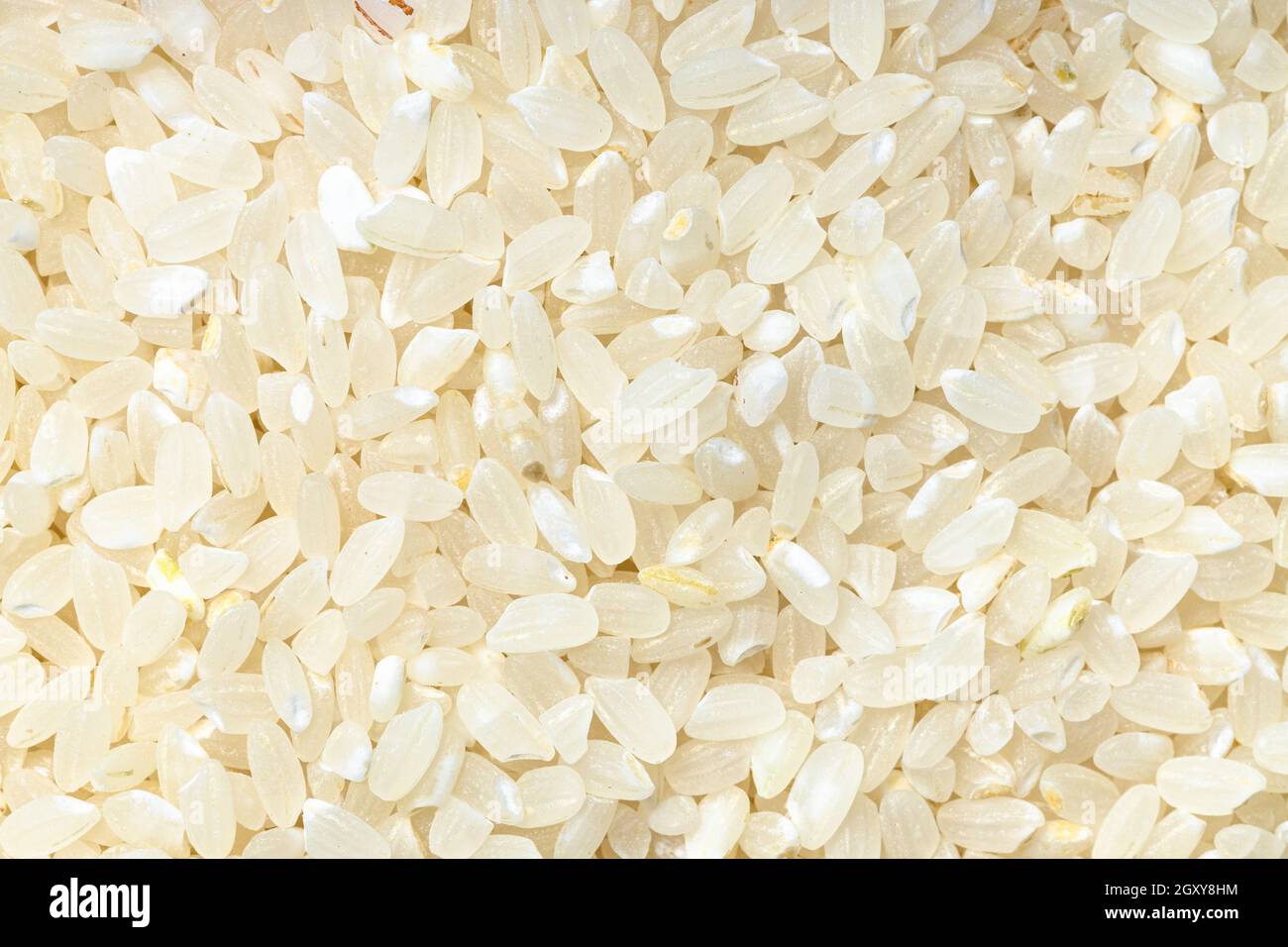 food background - uncooked polished medium-grain rice Stock Photo - Alamy