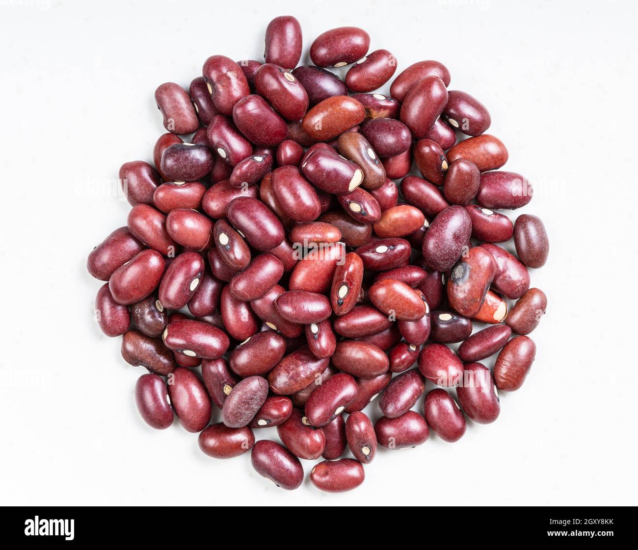 top view of pile of raw mexican red beans close up on gray ceramic ...