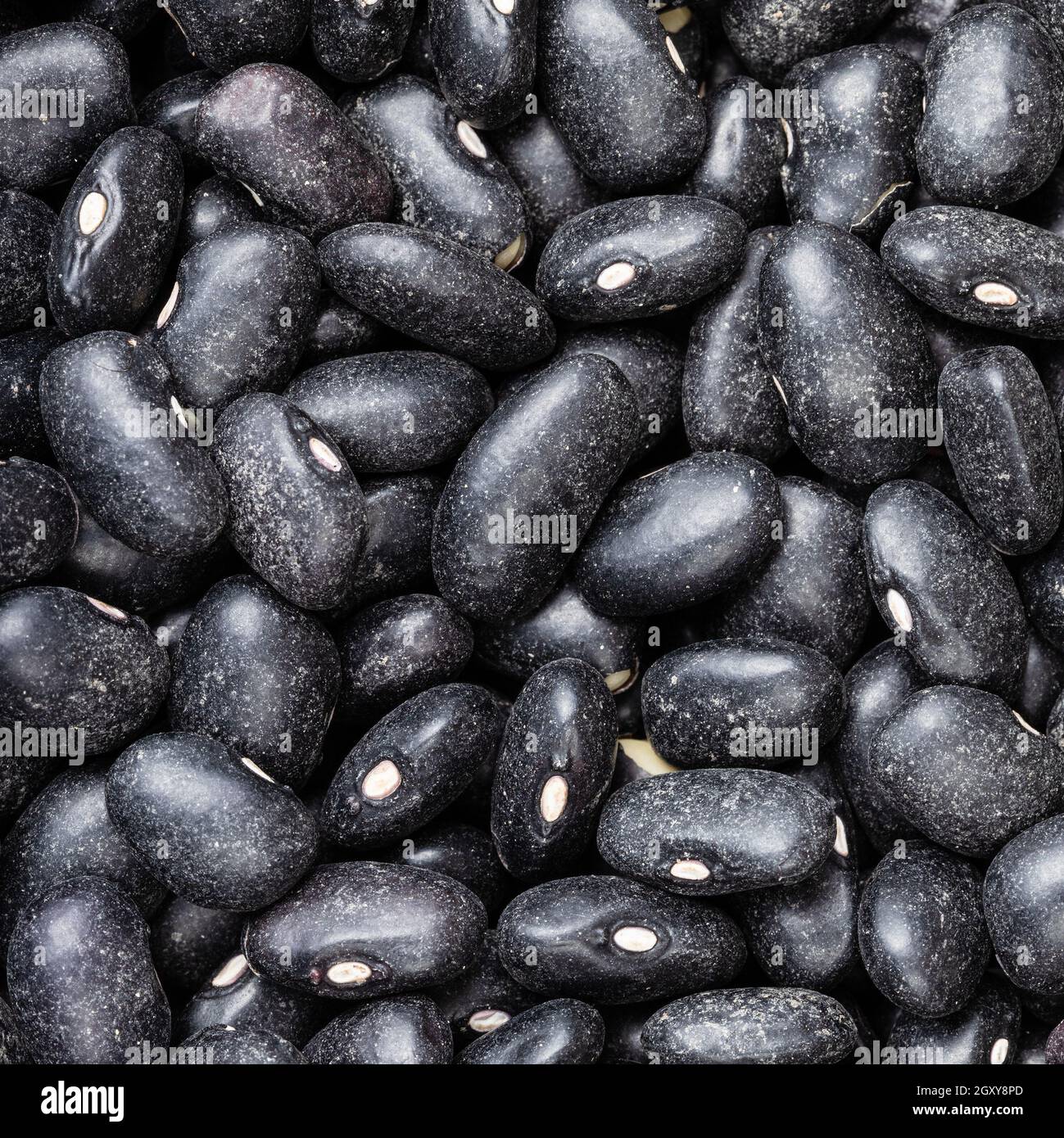 square food background - raw black turtle beans close up Stock Photo ...