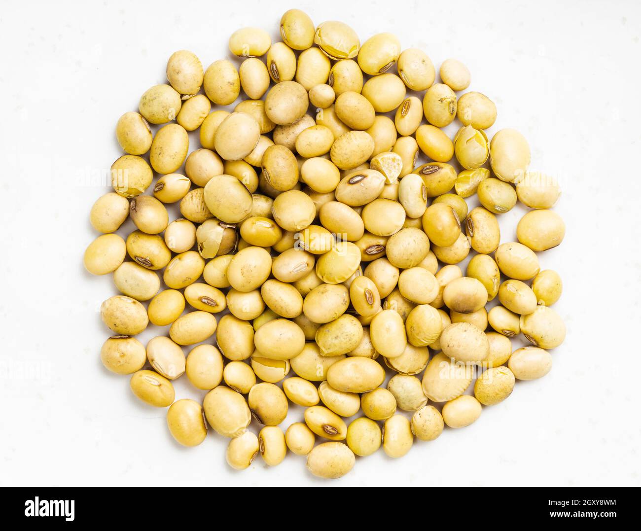 top view of pile of raw dried soybeans close up on gray ceramic plate ...