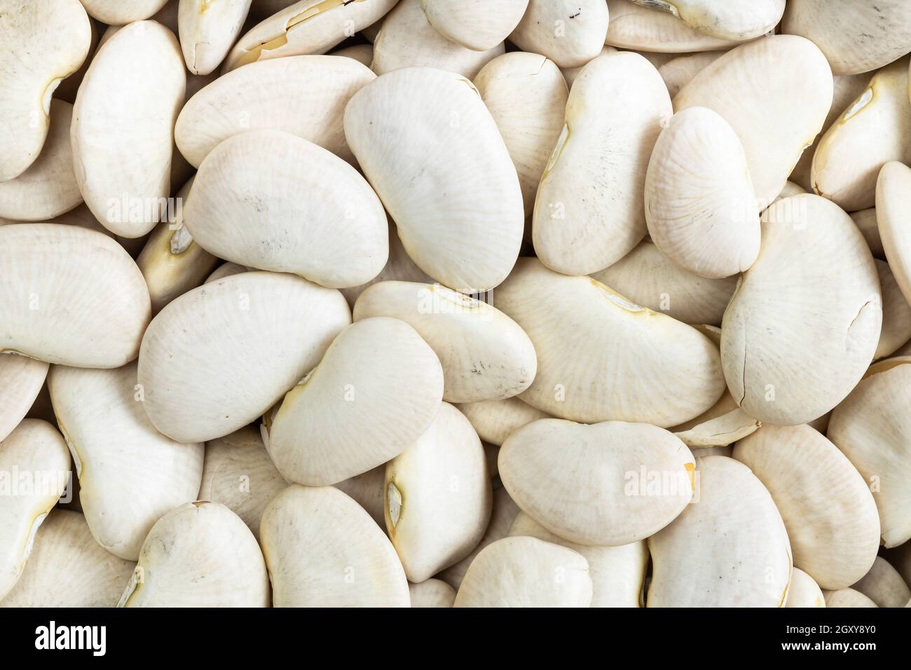food background - raw white lima beans Stock Photo - Alamy