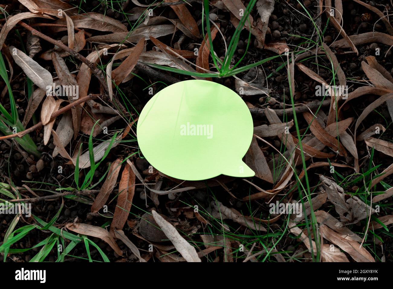 Thinking New Bright Ideas, Renewing Creativity And Inspiration Stock ...