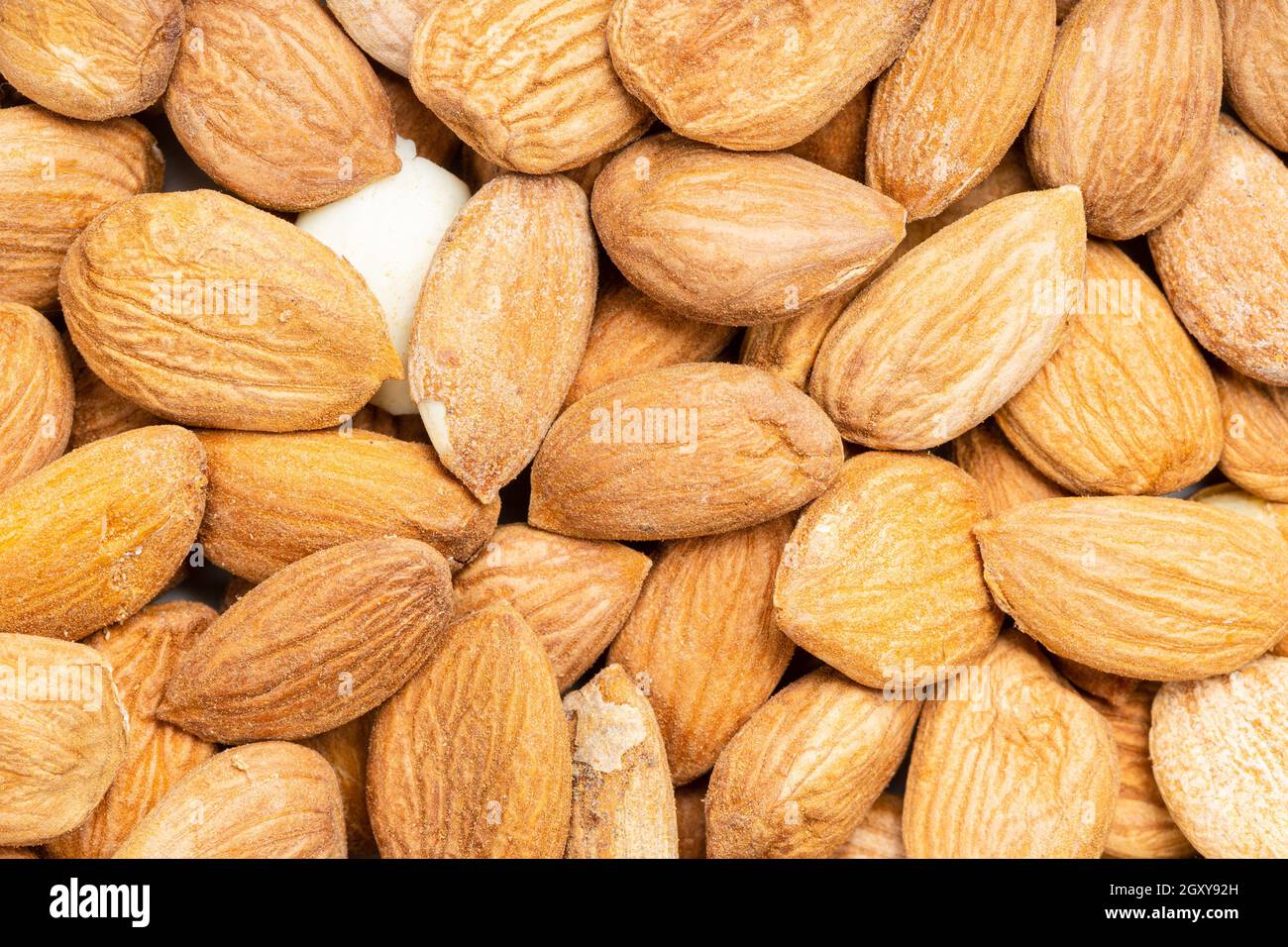 food background - many raw apricot kernels Stock Photo - Alamy
