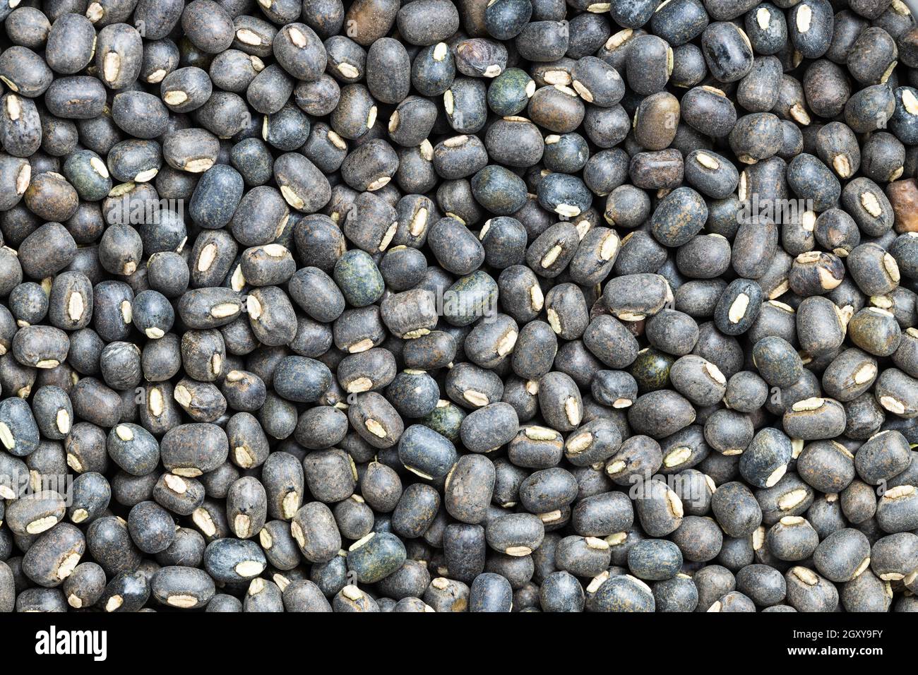 food background - many raw whole black urad beans close up Stock Photo ...