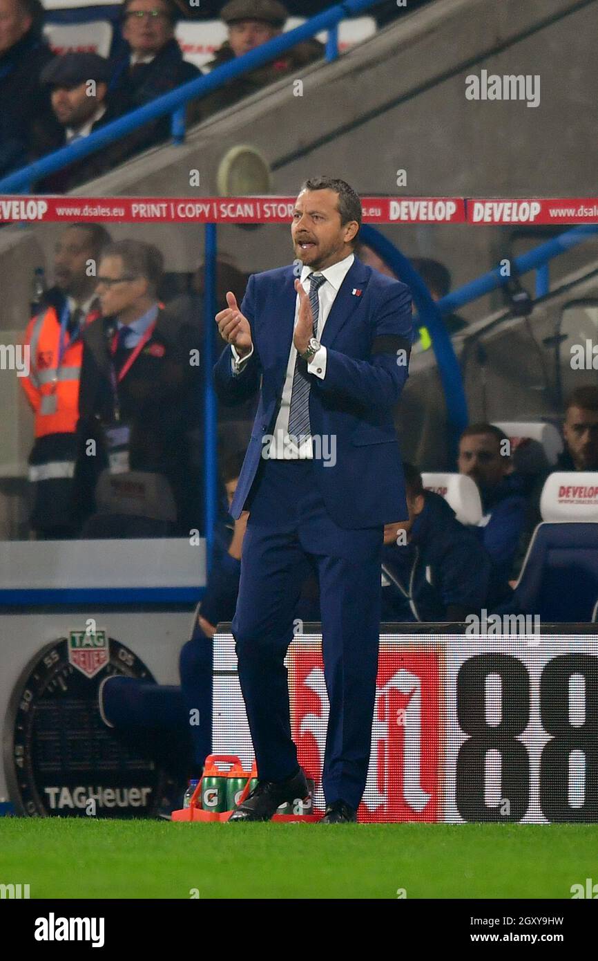 Fulham manager Slavisa Jokanovic Stock Photo - Alamy