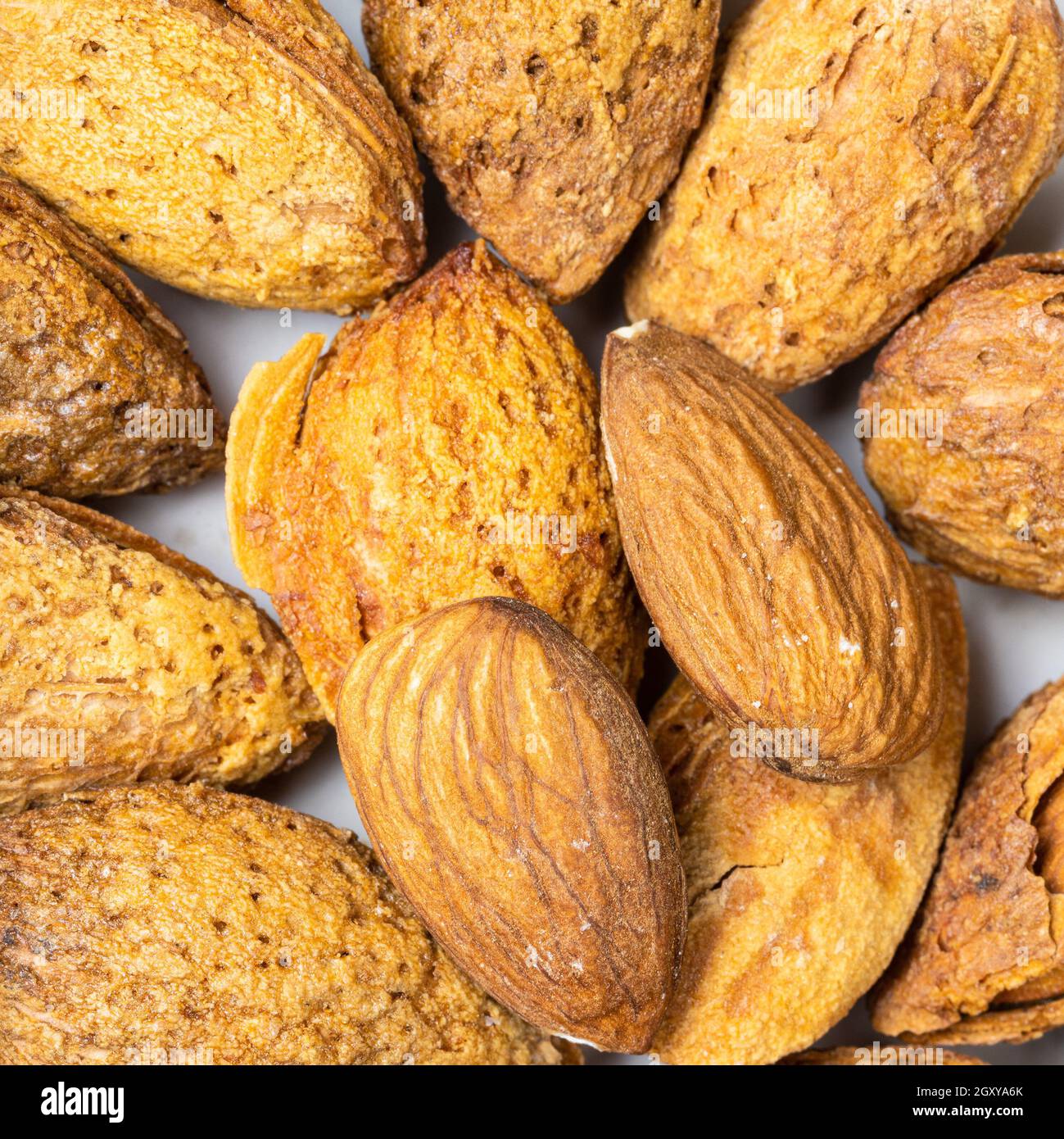 square food background - almond seeds and drupes close up Stock Photo ...