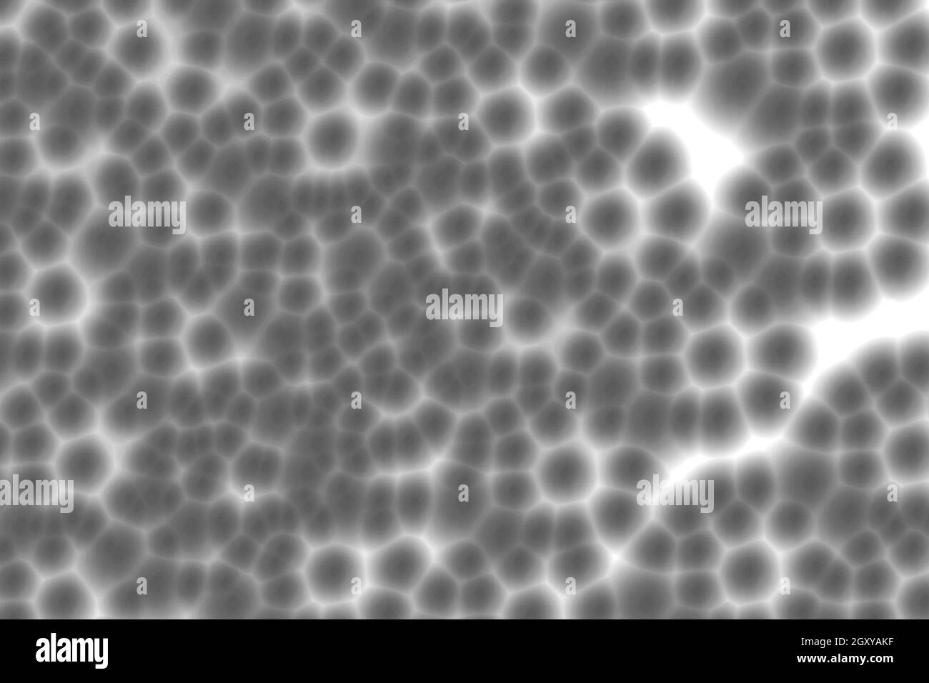 Abstract black and white pattern of hexagons Stock Photo - Alamy