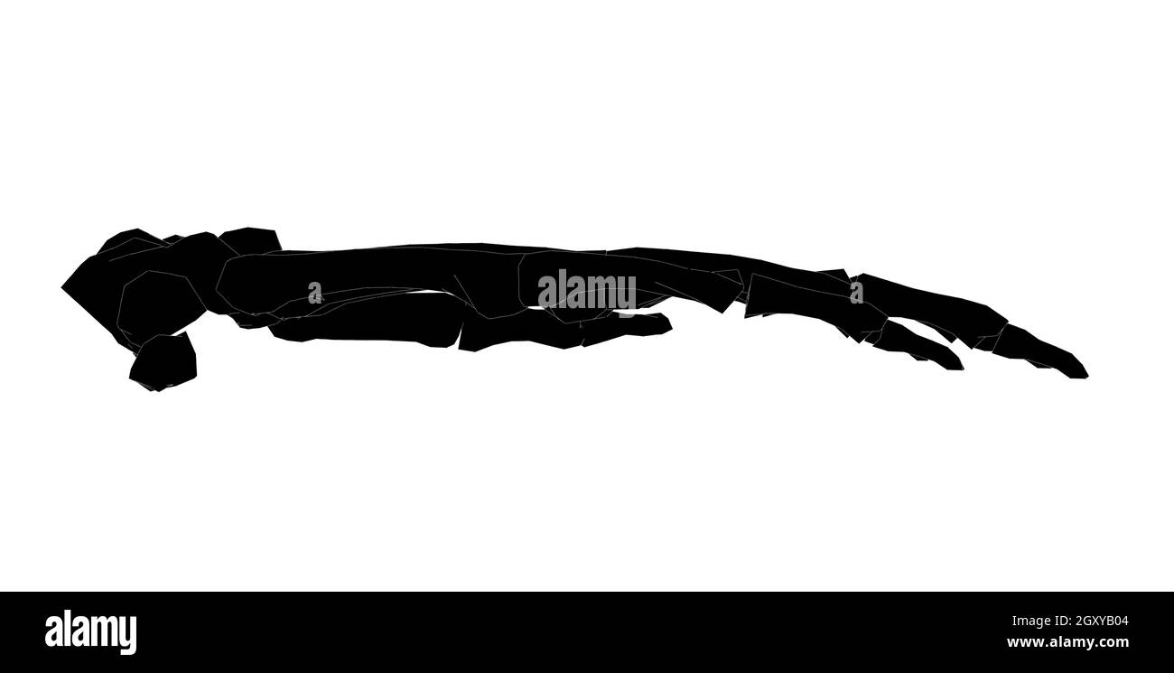 Side view of forearm in black and white isolated background Stock Photo ...