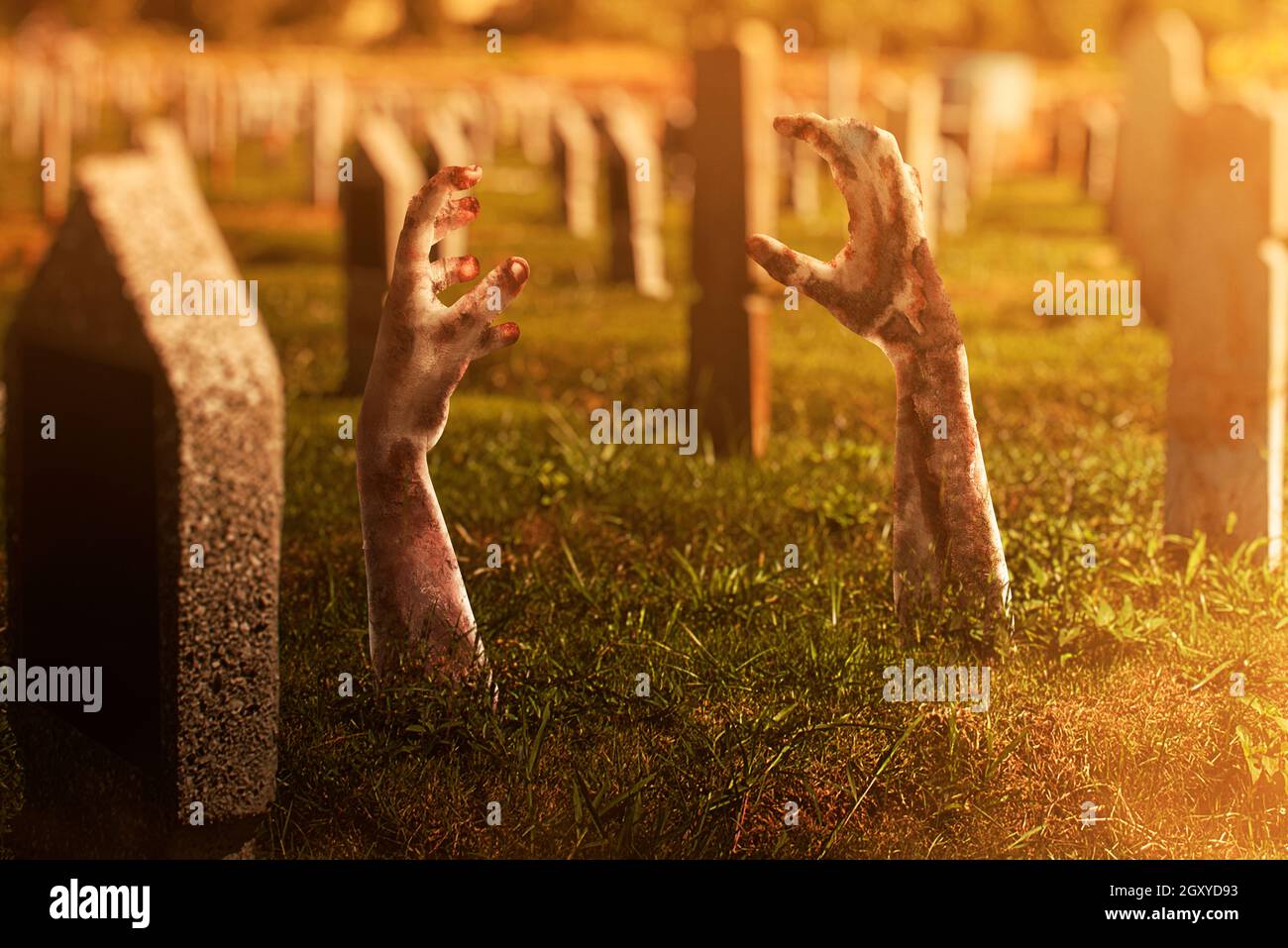 Zombie hand with blood and wound raised from the graveyard Stock Photo ...