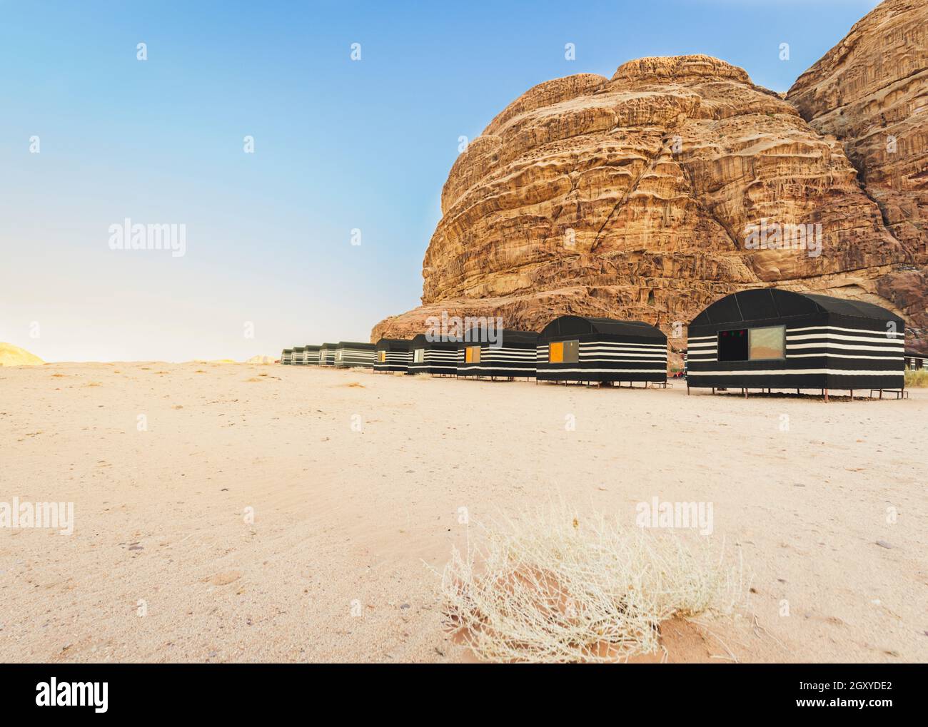 Bedouin tent camp in the desert Stock Photo - Alamy
