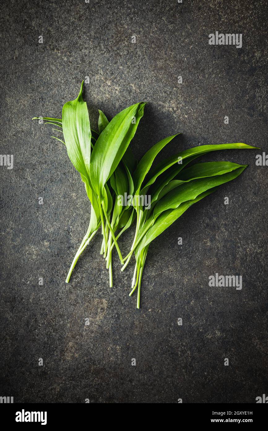 Green ramsons leaves. Wild garlic on black table. Top view Stock Photo ...