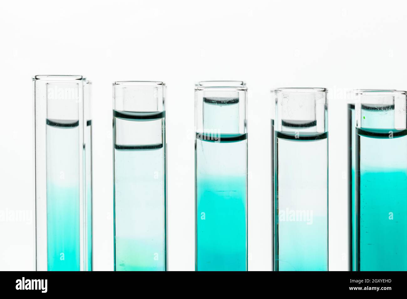 Glass laboratory chemical test tubes with liquid for analysis close up ...