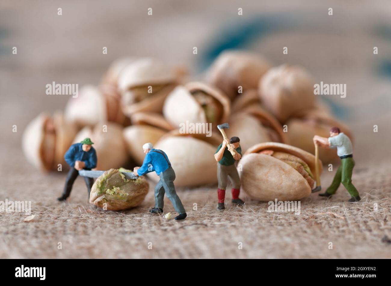 Lumbermen hi-res stock photography and images - Alamy