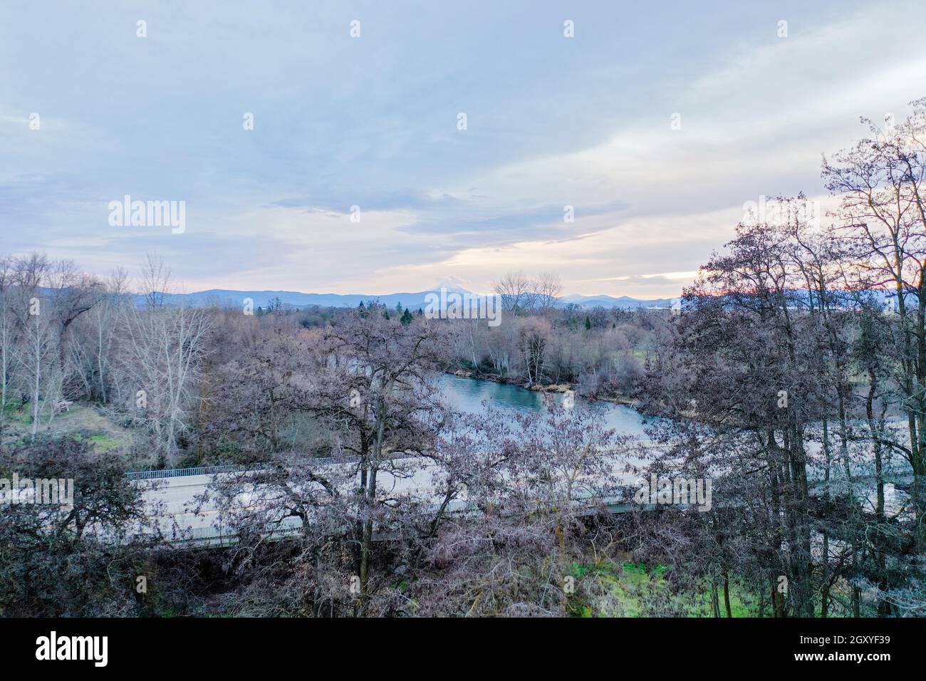 Leafless trees surrounding bridge hi-res stock photography and images ...