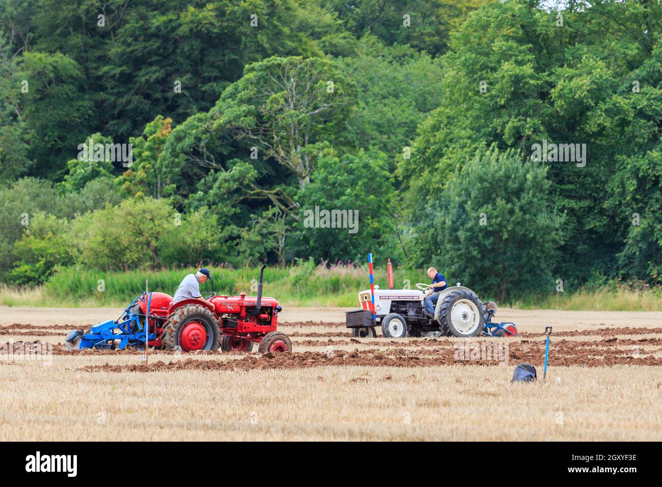 David brown tractors vintage hi-res stock photography and images - Alamy