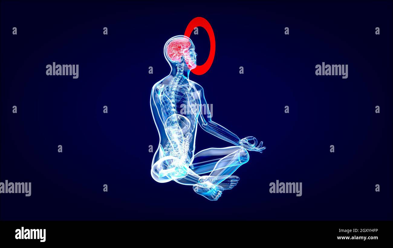 3D Creative abstract zen man in Xray Stock Photo - Alamy