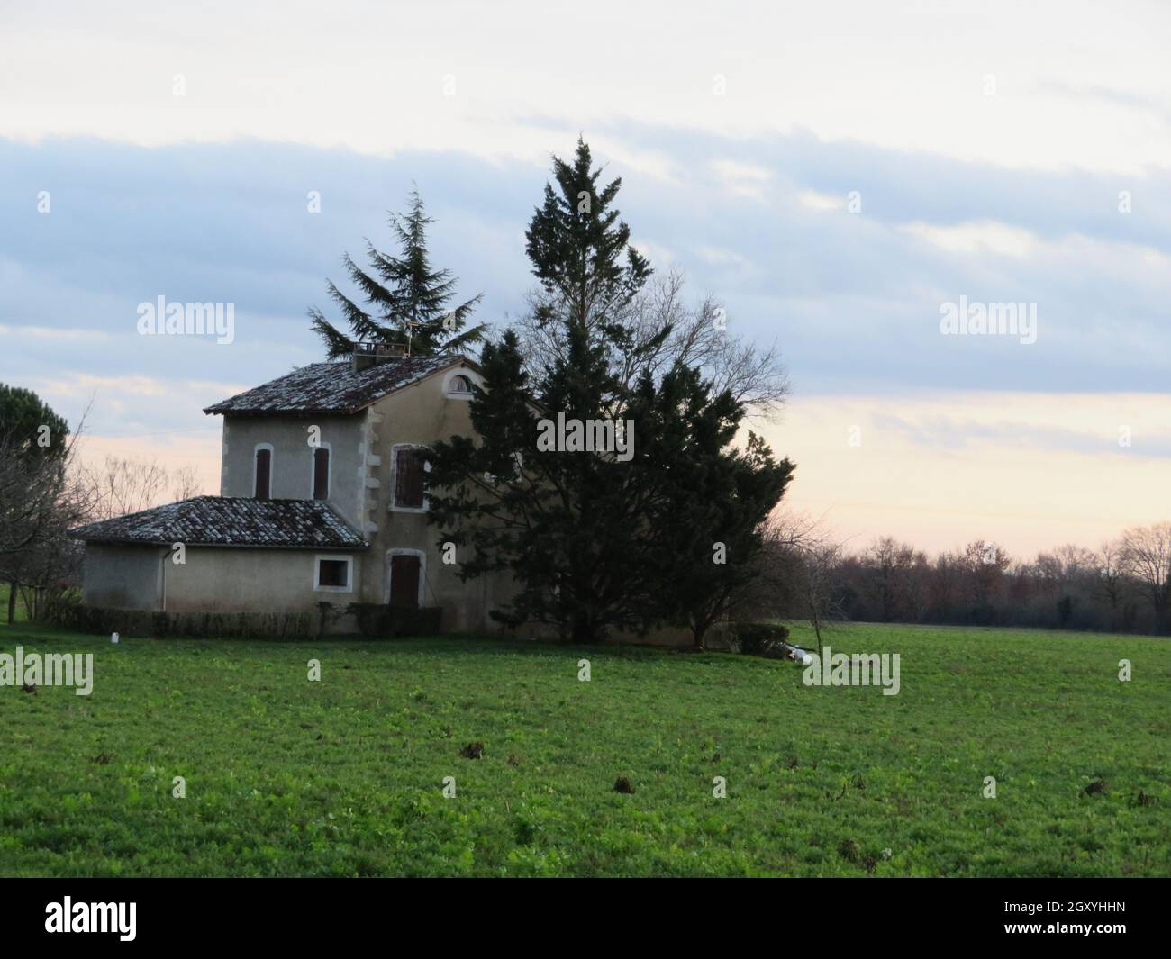 landscape sunset trees darkness beautiful natural sky countryside Stock ...