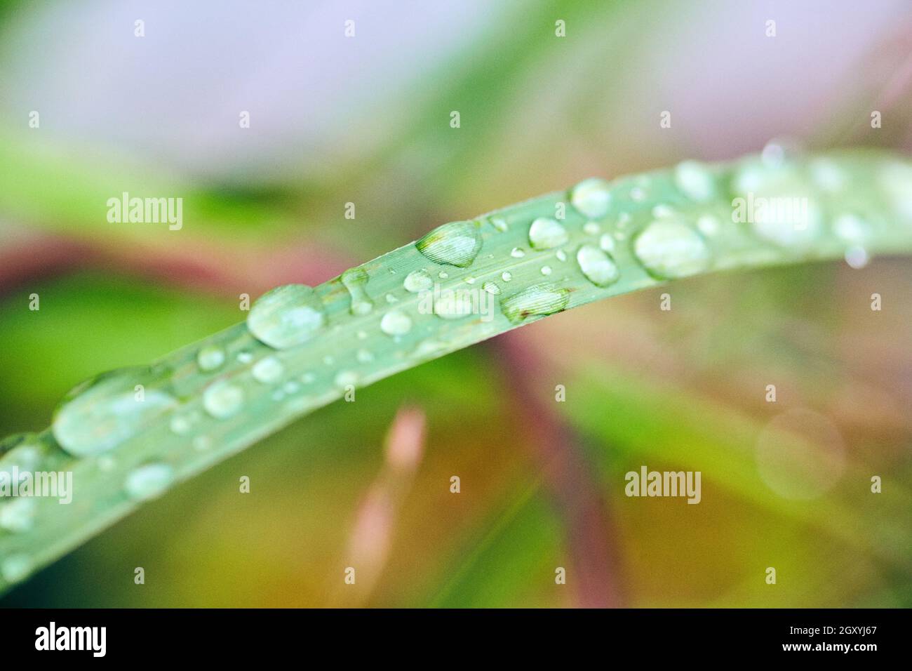 Water shot hi-res stock photography and images - Alamy