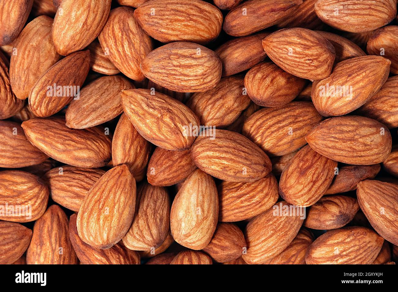 Background of almonds. Fried almonds. Scattered almond grains ...
