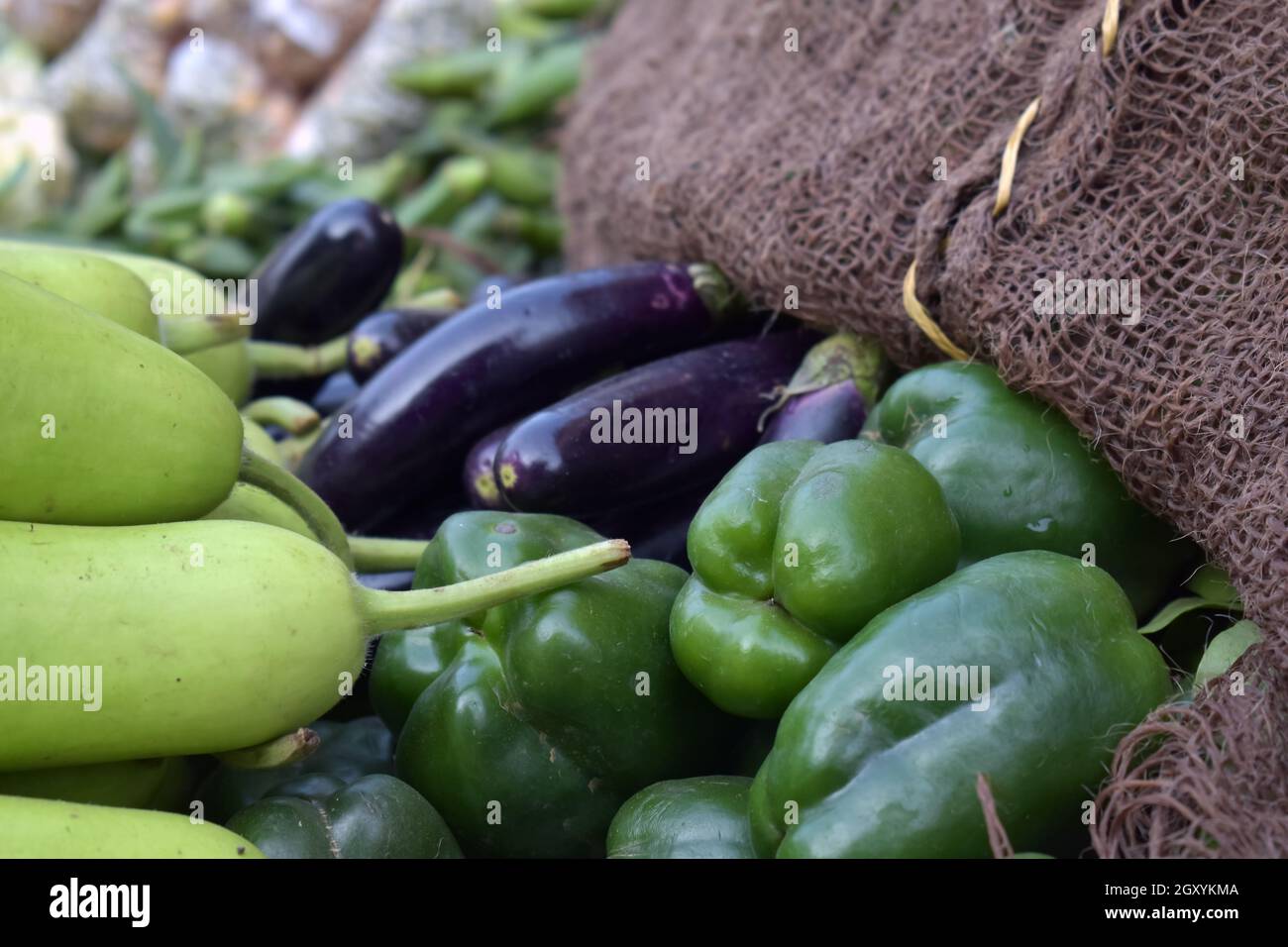 Shimla Mirch High Resolution Stock Photography and Images - Alamy