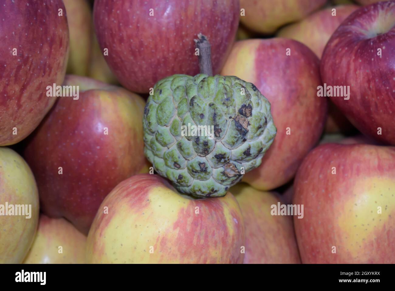 Atis fruit hi-res stock photography and images - Alamy