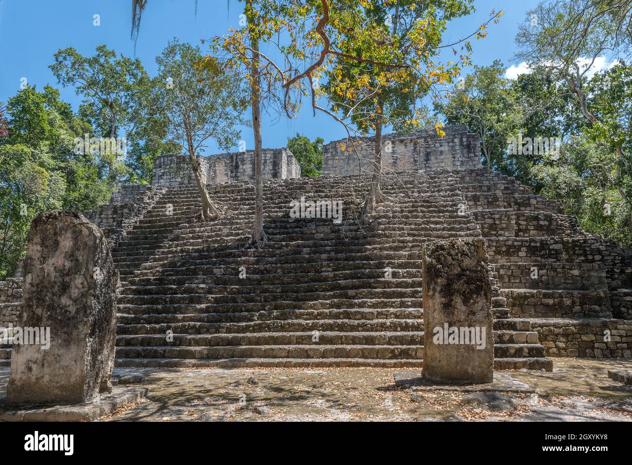 The temple ruins of the ancient Mayan city of Calakmul, Campeche ...
