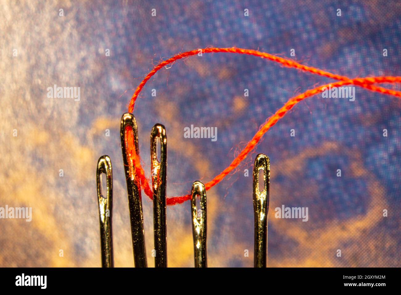 a red thread is threaded into a sewing needle Stock Photo - Alamy