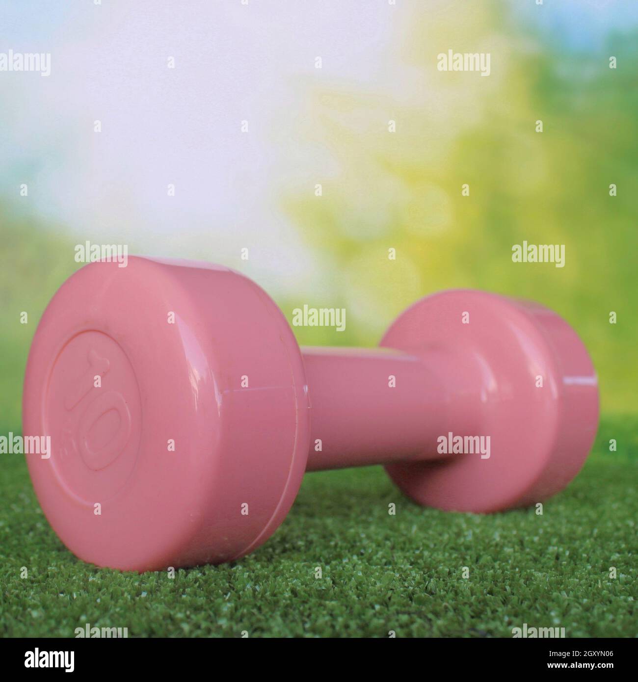 Pink dumbbell on green grass Stock Photo - Alamy