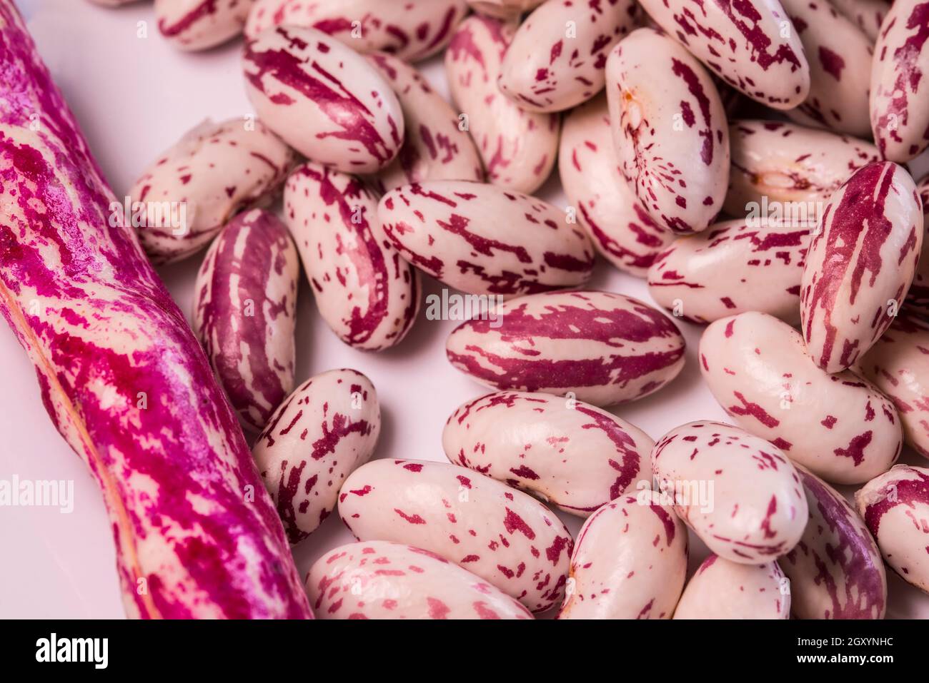 Pinto beans in a closeup Stock Photo - Alamy