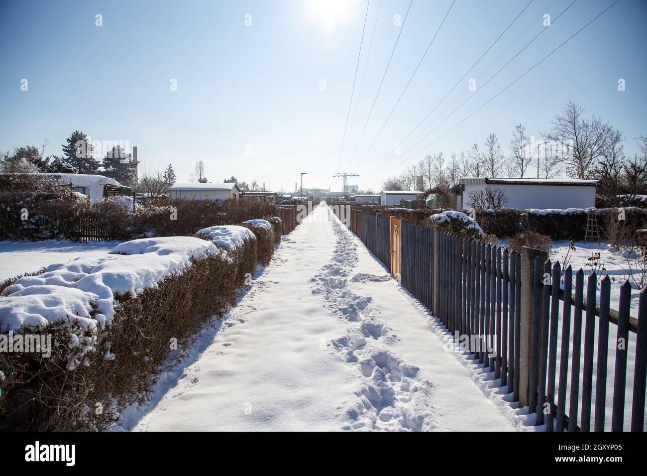 A snowy path in a small garden club in winter Stock Photo - Alamy