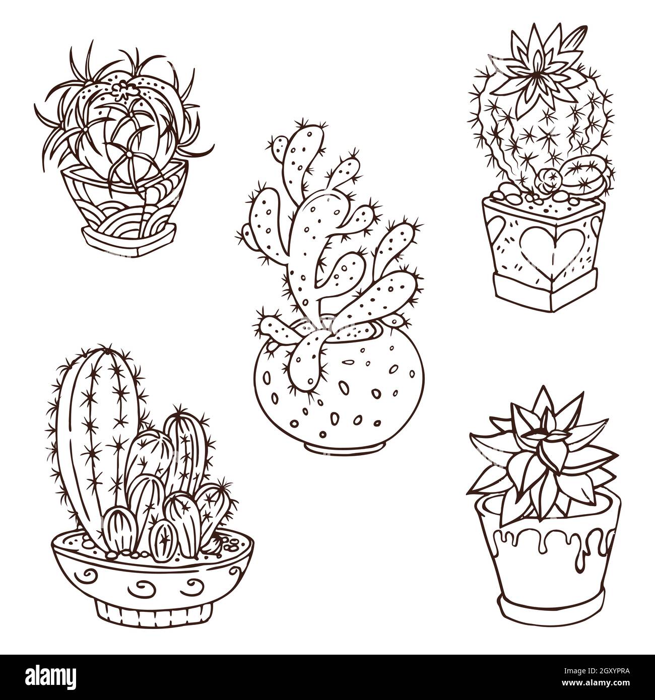 Set of cacti in decorated pots. A hand-drawn picture of houseplants ...