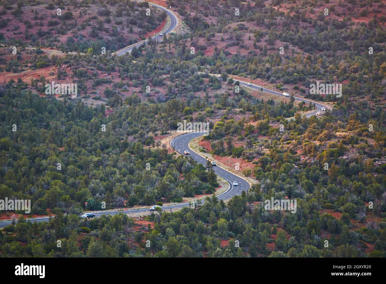 Asphalt road winds its way through trees and red sandy ground Stock ...