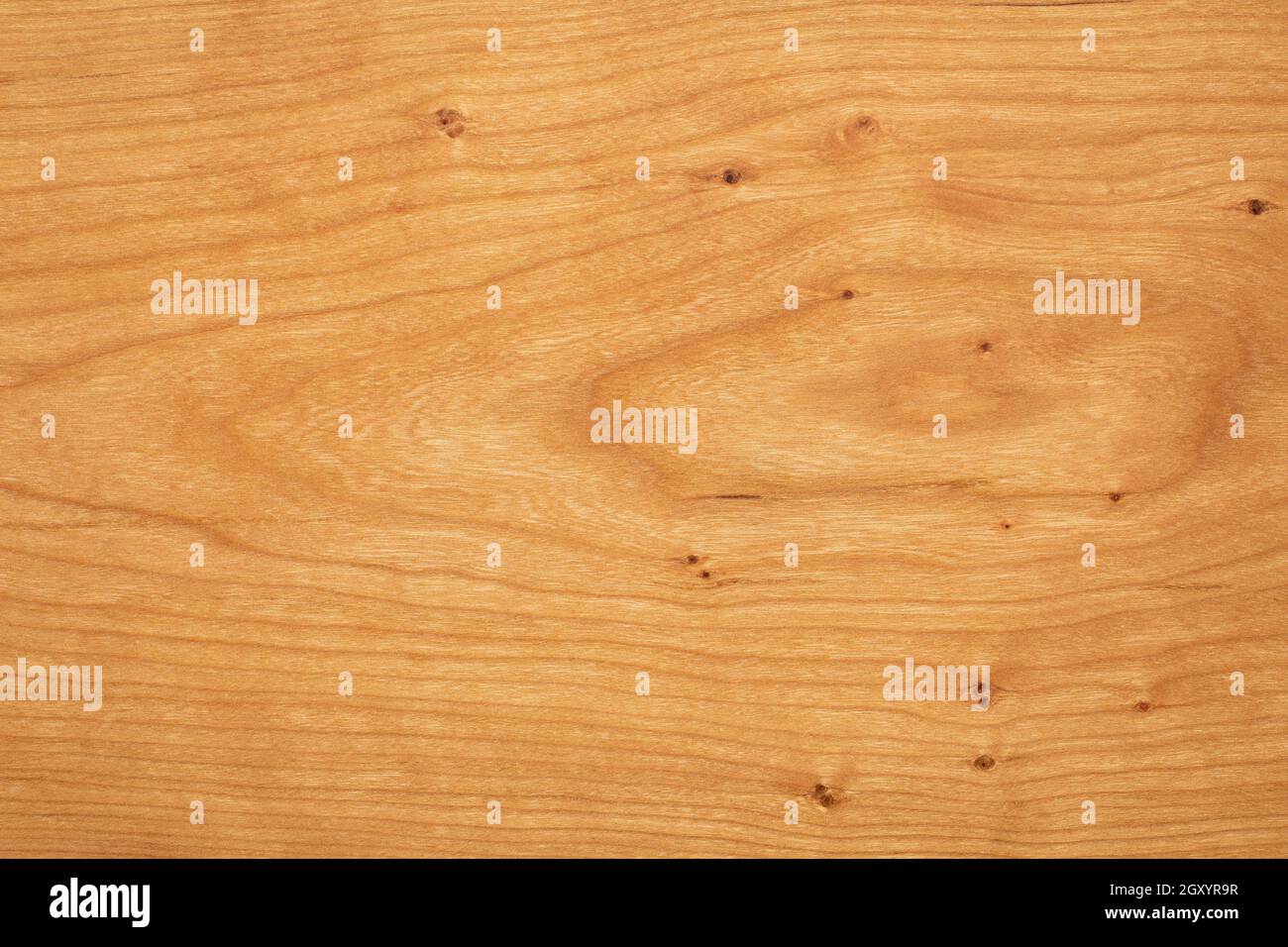 Cherry wood texture. Cherry wood texture background. Wood plank texture ...