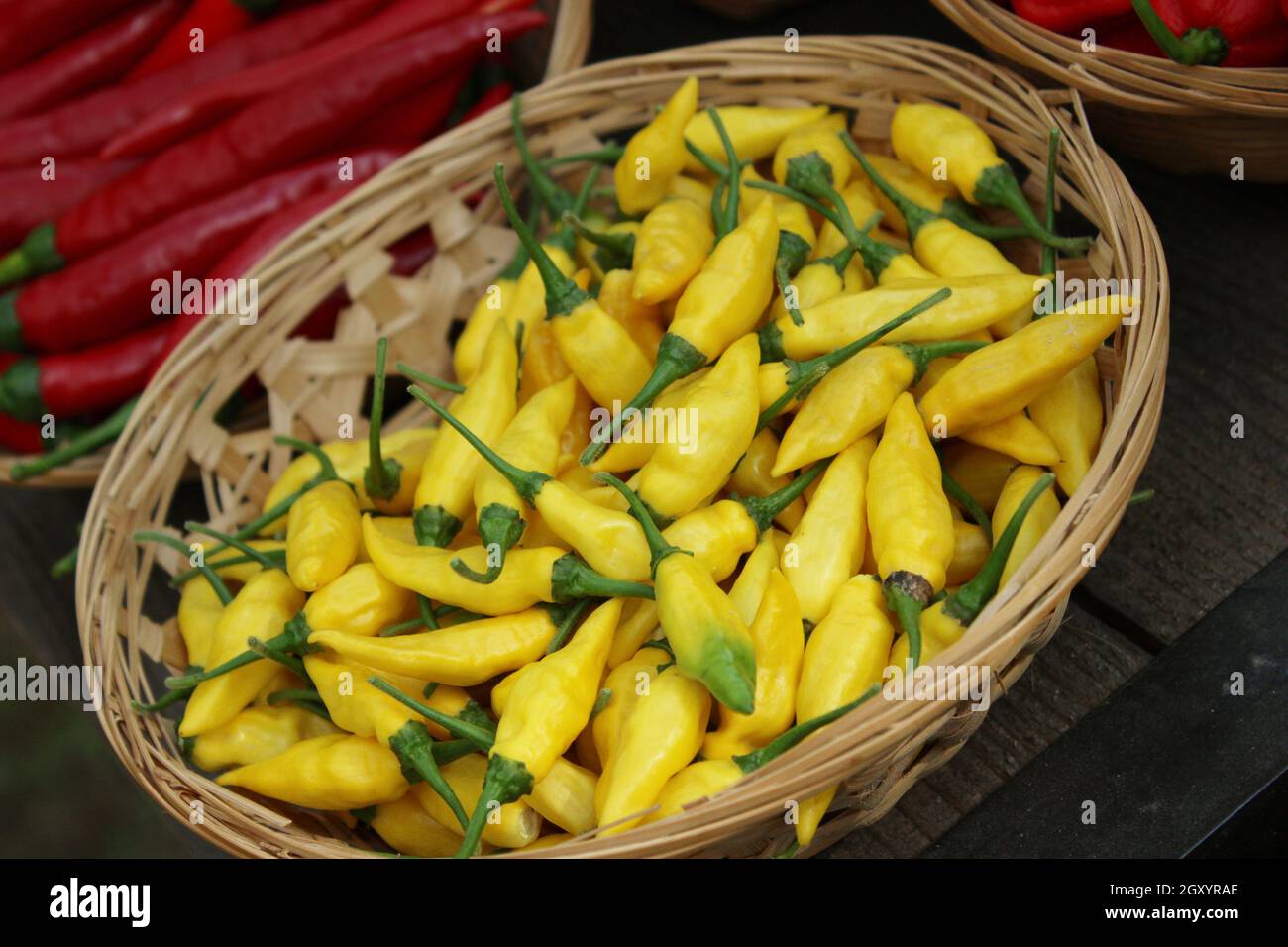 Lemon Drop Pepper from Peru Aji Limo Capsicum frutescens L in basket ...