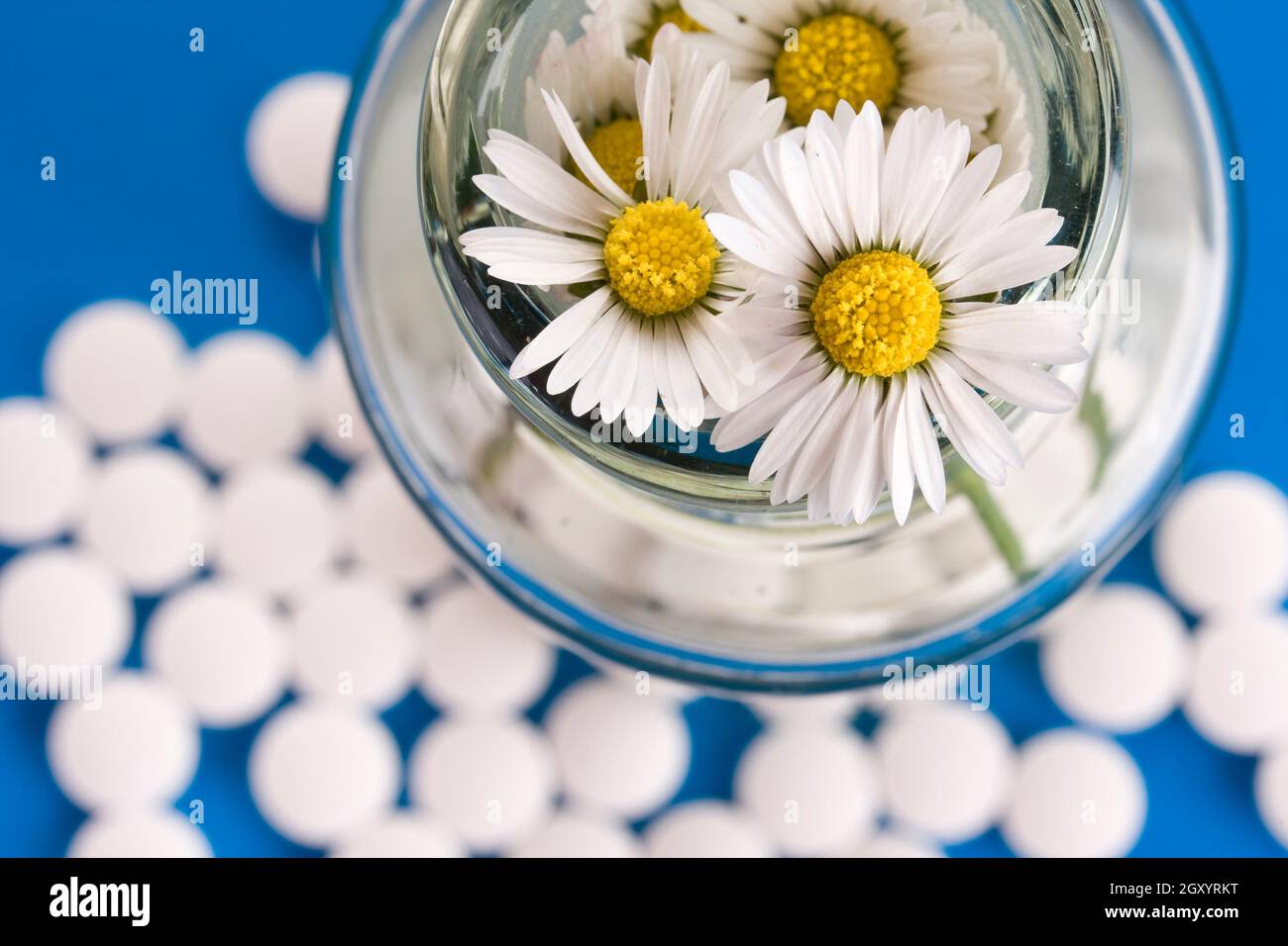 Homeopathic medication, focus on flower, ower blue background Stock ...
