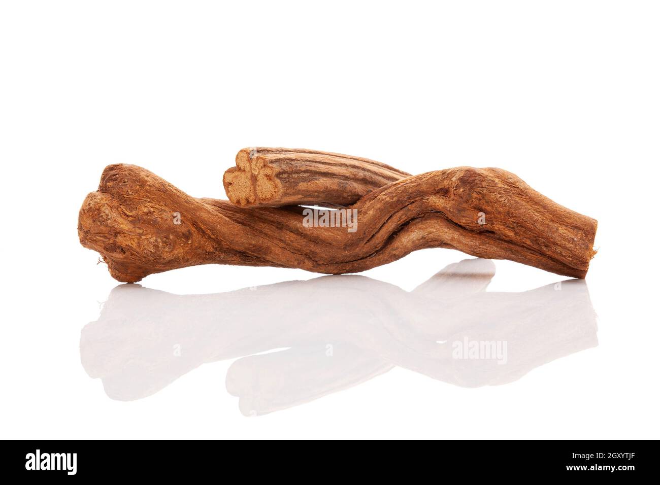 Ayahuasca medicine. Banisteriopsis caapi wood isolated on white ...