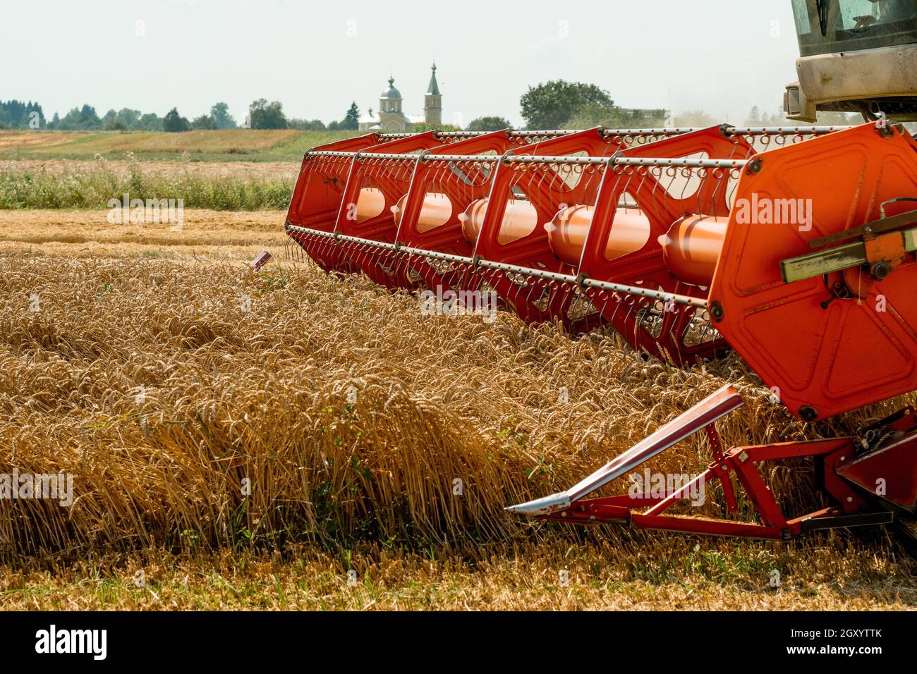 Platform grain header with thresher reel, cutter bar reaping cereal ...