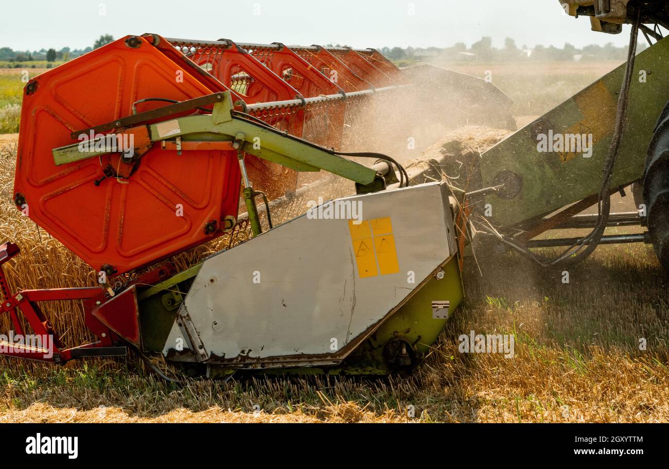 Platform grain header with thresher reel, cutter bar reaping cereal ...