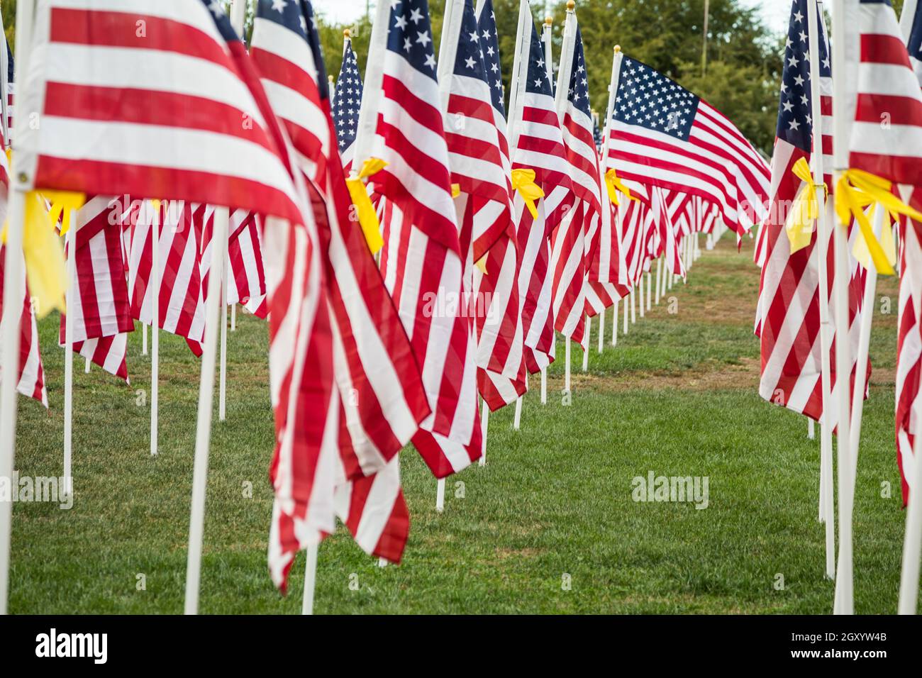 Rows american flags waving hi-res stock photography and images - Alamy