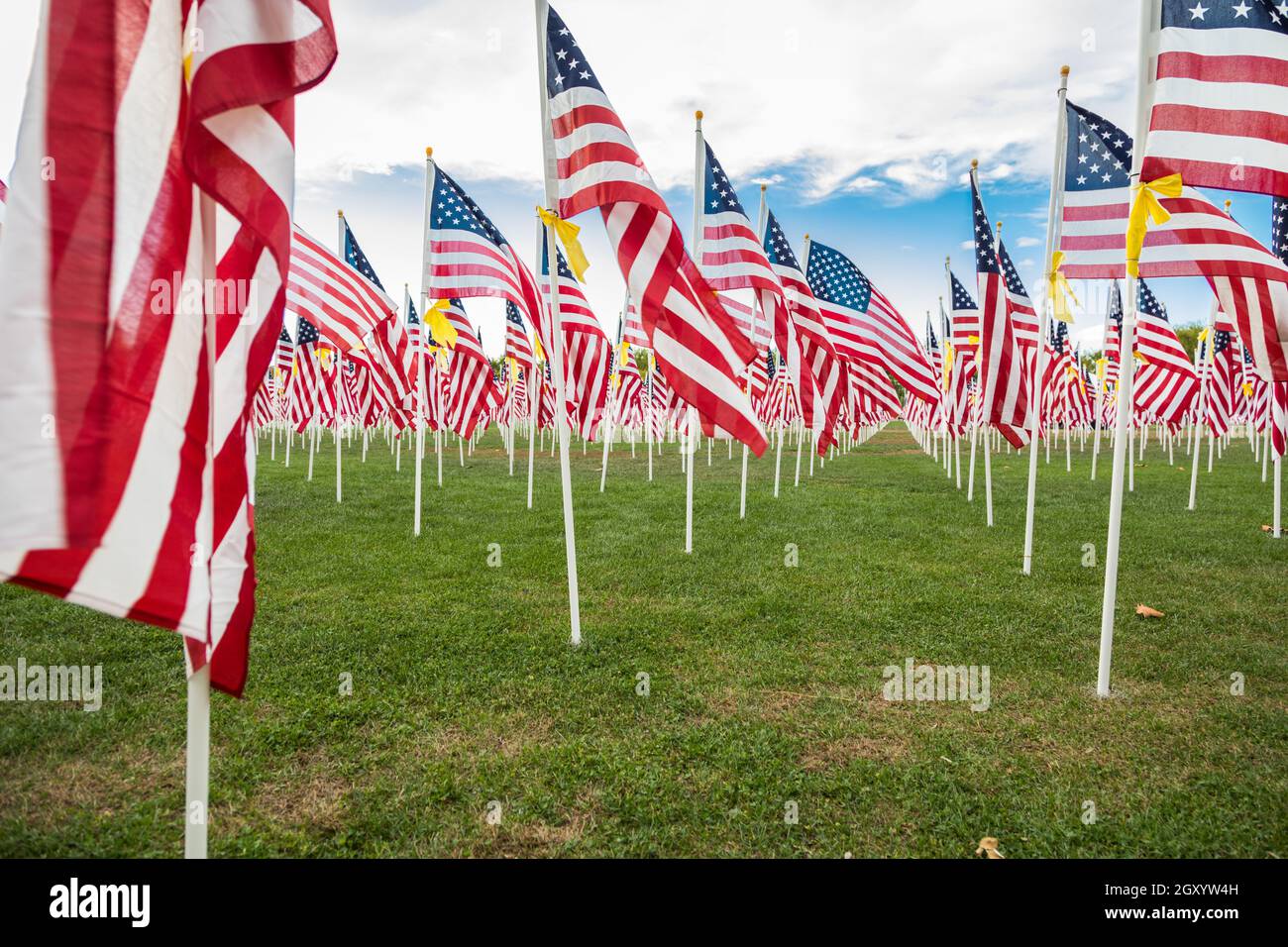 Rows american flags waving hi-res stock photography and images - Alamy
