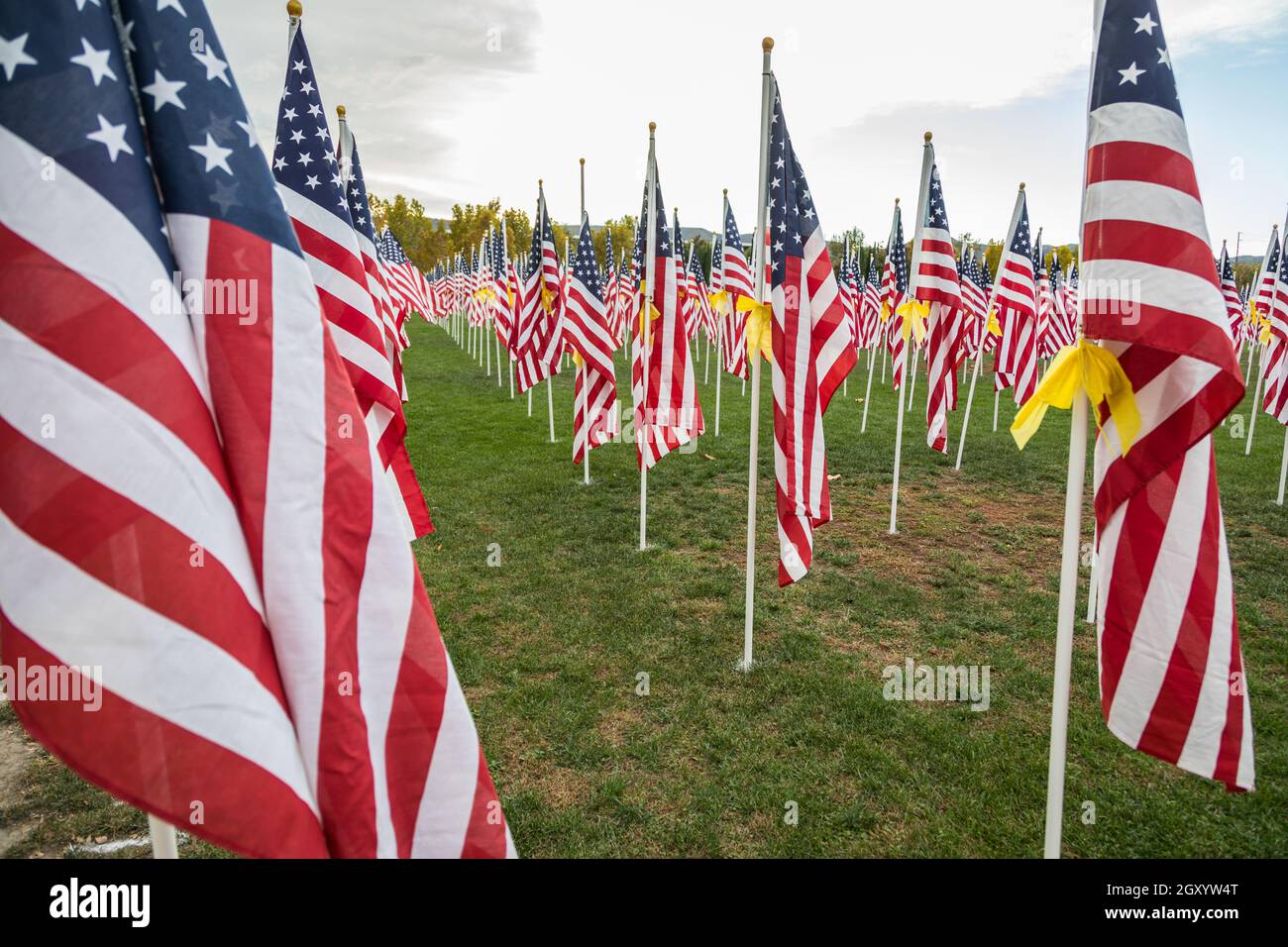 Rows american flags waving hi-res stock photography and images - Alamy