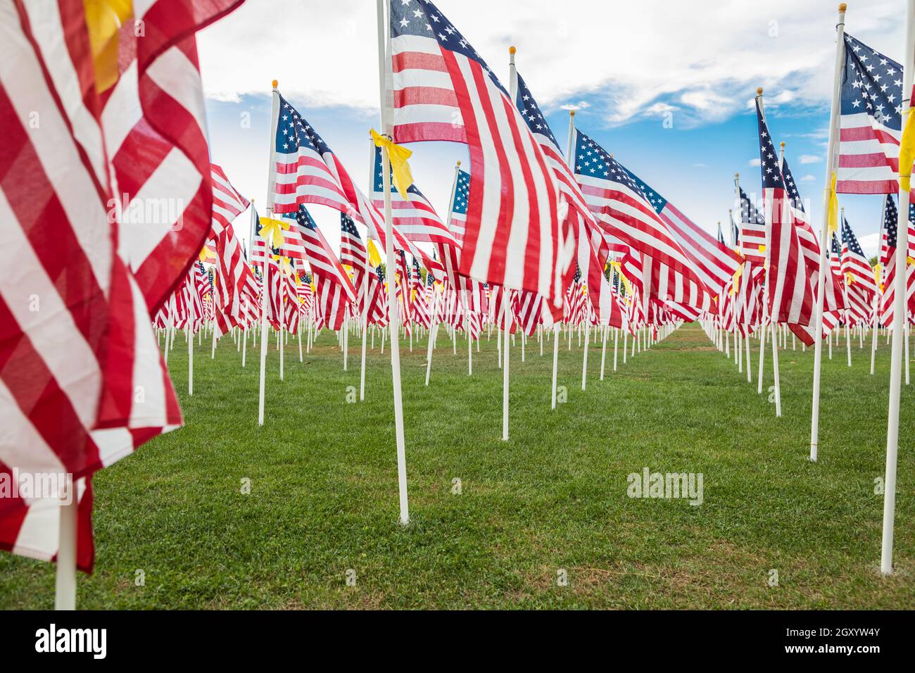 Rows american flags waving hi-res stock photography and images - Alamy