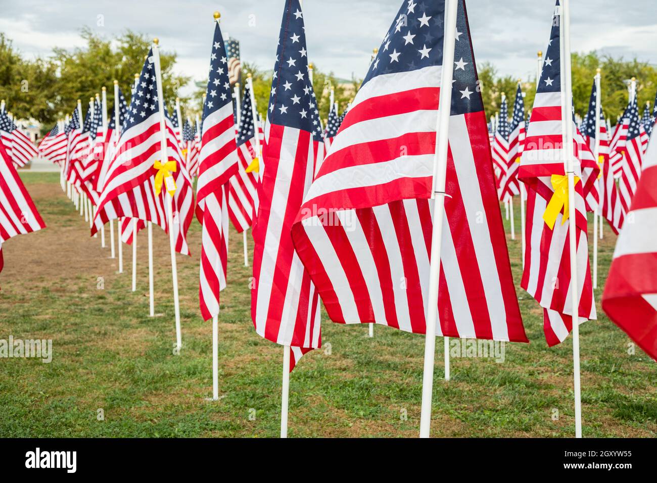 Rows waving united states flags hi-res stock photography and images - Alamy