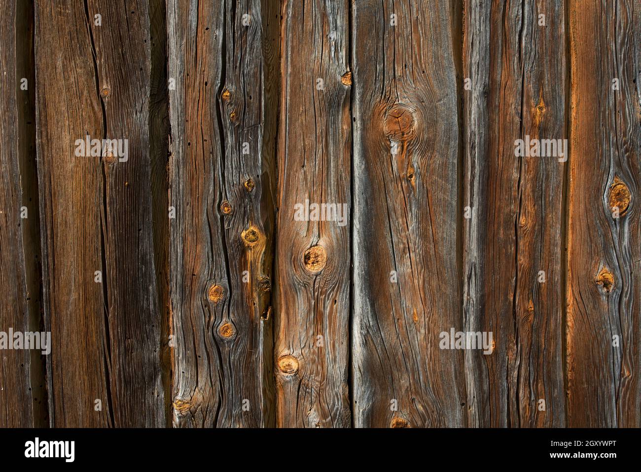 Wooden logs of an old house. Close-up. Weathered natural gray wood ...
