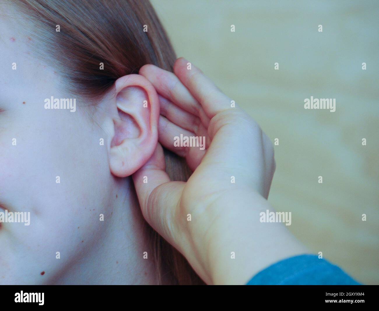 Organs of balance hi-res stock photography and images - Alamy
