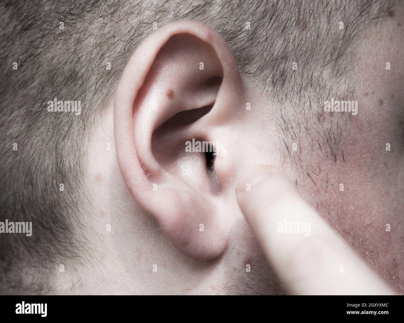 Sense organs hi-res stock photography and images - Alamy