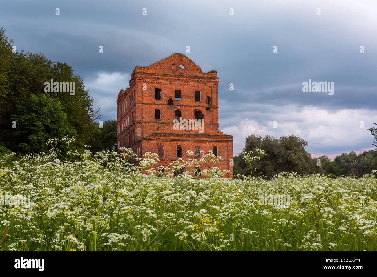 Weather damaged flowers hi-res stock photography and images - Alamy