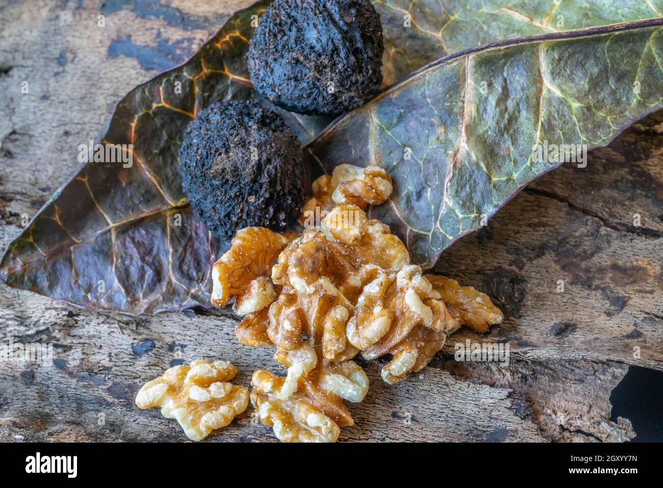 fresh black walnuts on leaf, in shell and out of shell Stock Photo - Alamy